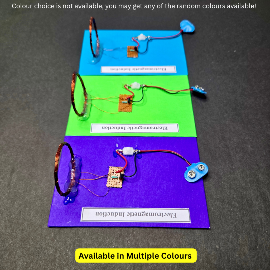 Electromagnetic Induction Working Model - My Store