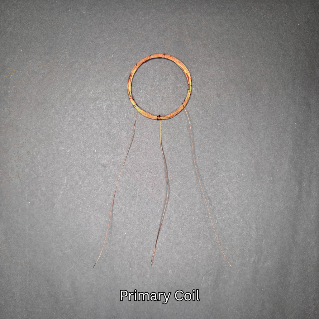 Electromagnetic Induction Project Kit - My Store